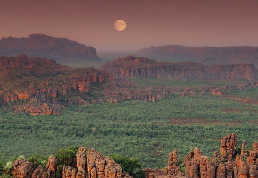 Kakadu National Park: A Journey Through Time in Australia's Natural Wo ...
