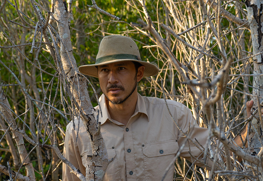 Explore Queensland’s Natural Beauty: The Best Hiking and Camping Spots ...